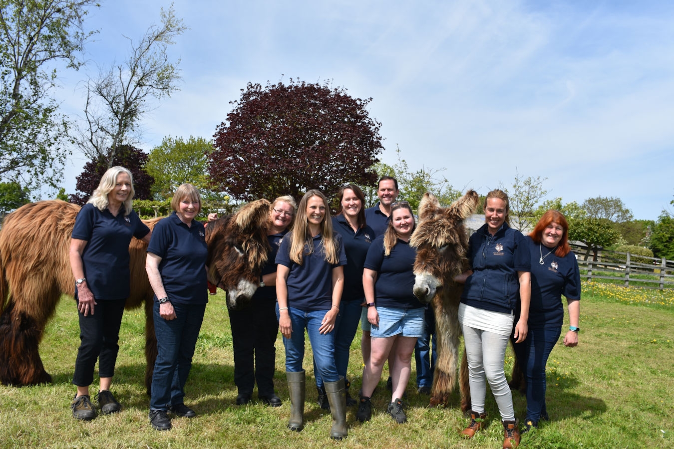 The Donkey Sanctuary | Careers