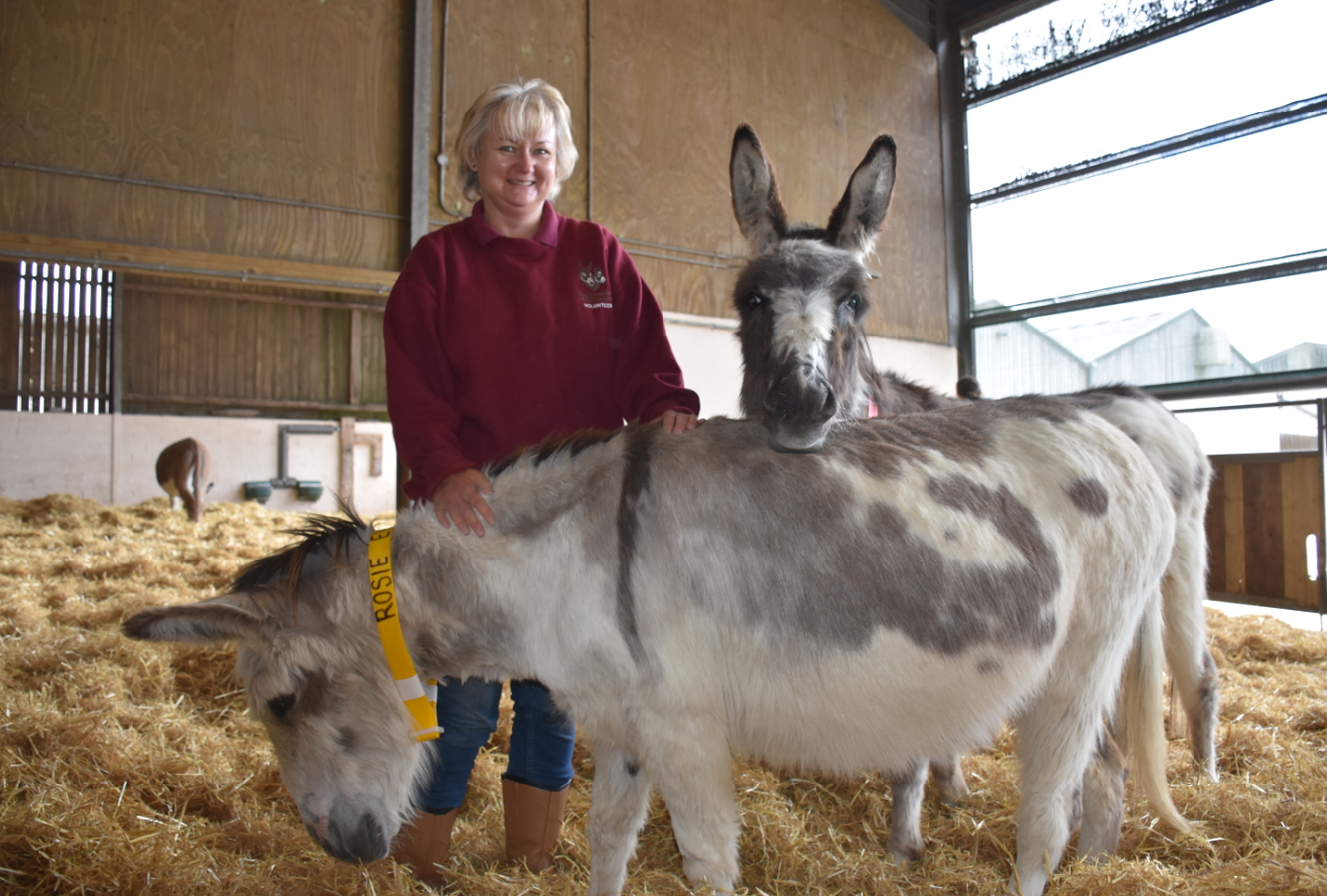 The Donkey Sanctuary | Careers